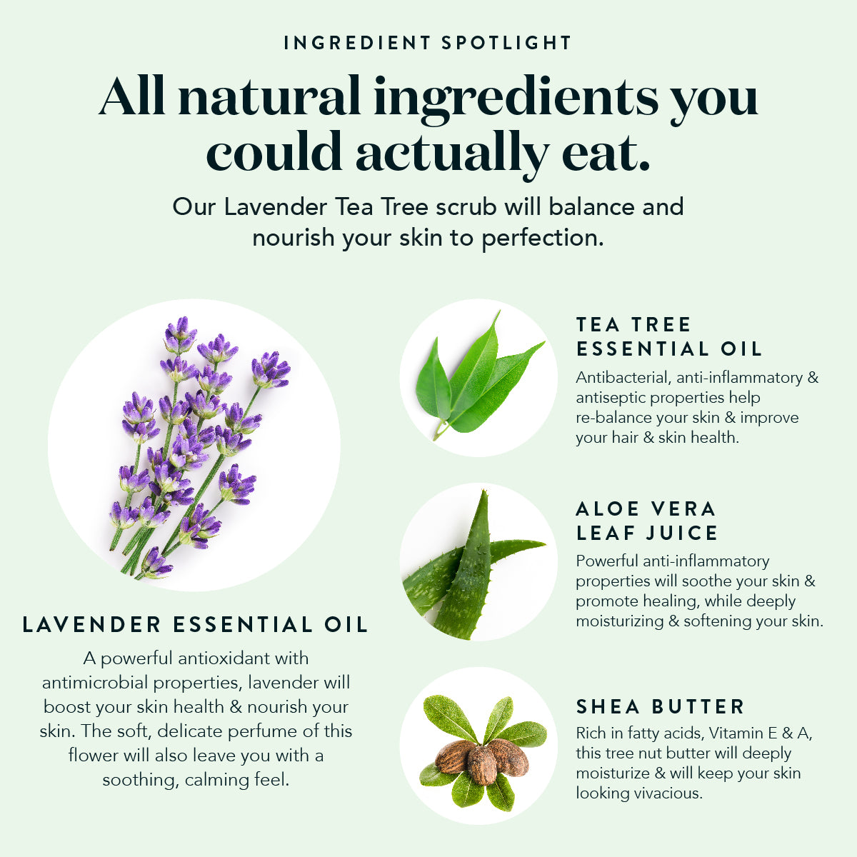 Lavender Tea Tree Small Batch Body Scrub | Bare Botanics – Bare ...